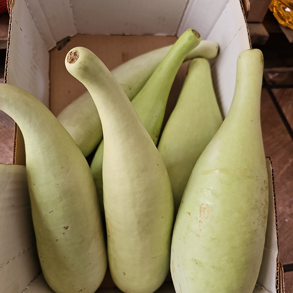 CALABASH +- 800g Friday delivery – @ PAUL'S