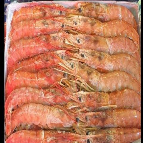 KING PINK PRAWNS – @ PAUL'S