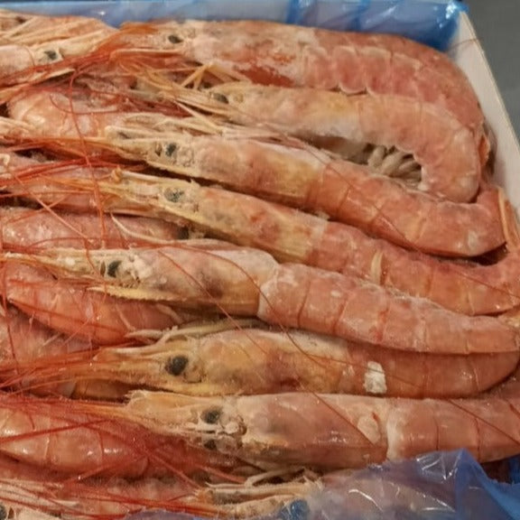 LARGE GRILLING PINK PRAWN DEVEINED 900G +-20 – @ PAUL'S