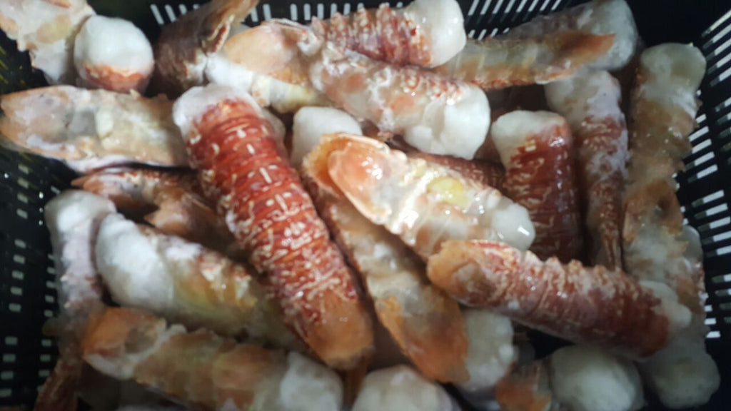 CRAYFISH TAILS - Med/Large - 1kg Packs gross – @ PAUL'S FISHERIES